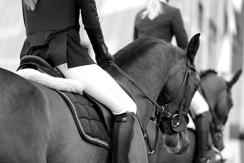 Les responsabilités d'un éleveur équin dans les courses hippiques